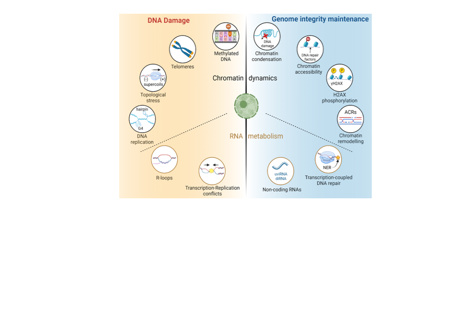 IPS2 - Ametys, Web Java Open Source CMS